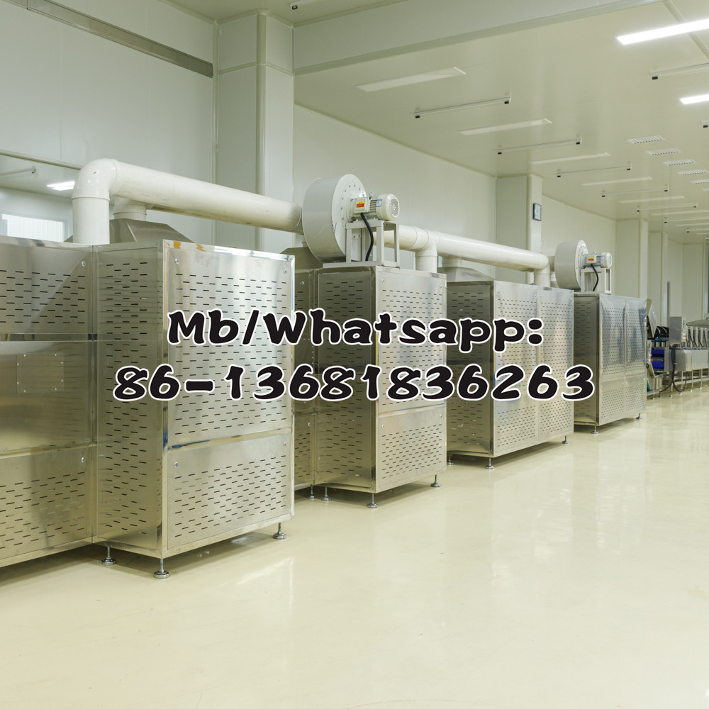 China Small Scale Semi Automatic Dried Fruit Production Line factory ...